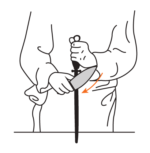 Chairas – Steiner®